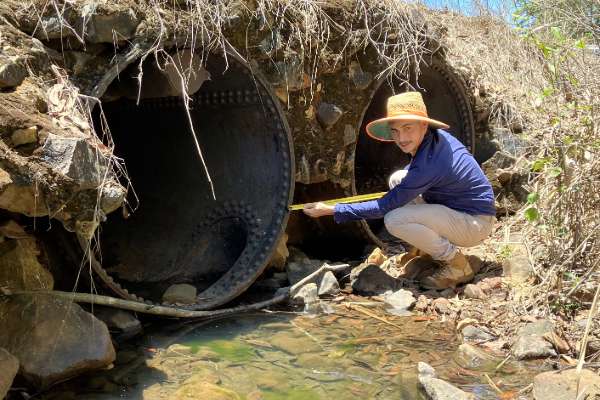 Engineering Cadetships - CQUniversity
